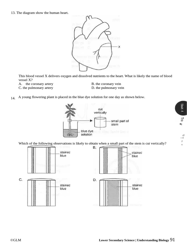 GLM - Lower Secondary Science Understanding Biology | PDF