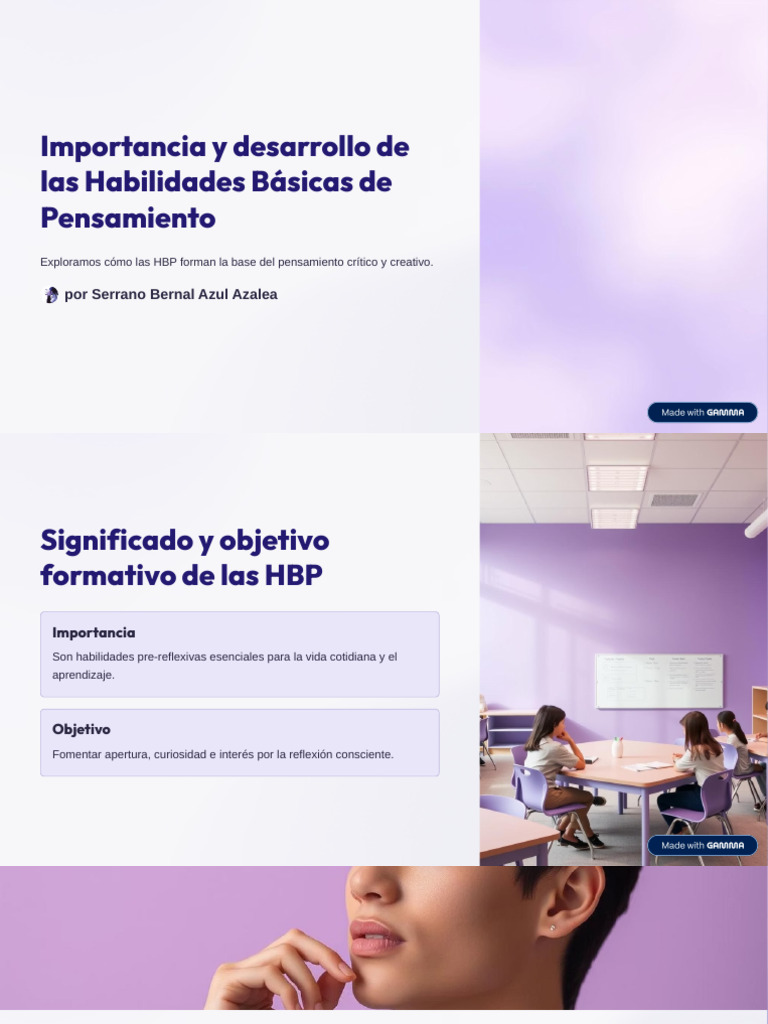 Importancia-y-desarrollo-de-las-Habilidades-Basicas-de-Pensamiento | PDF | Pensamiento ...