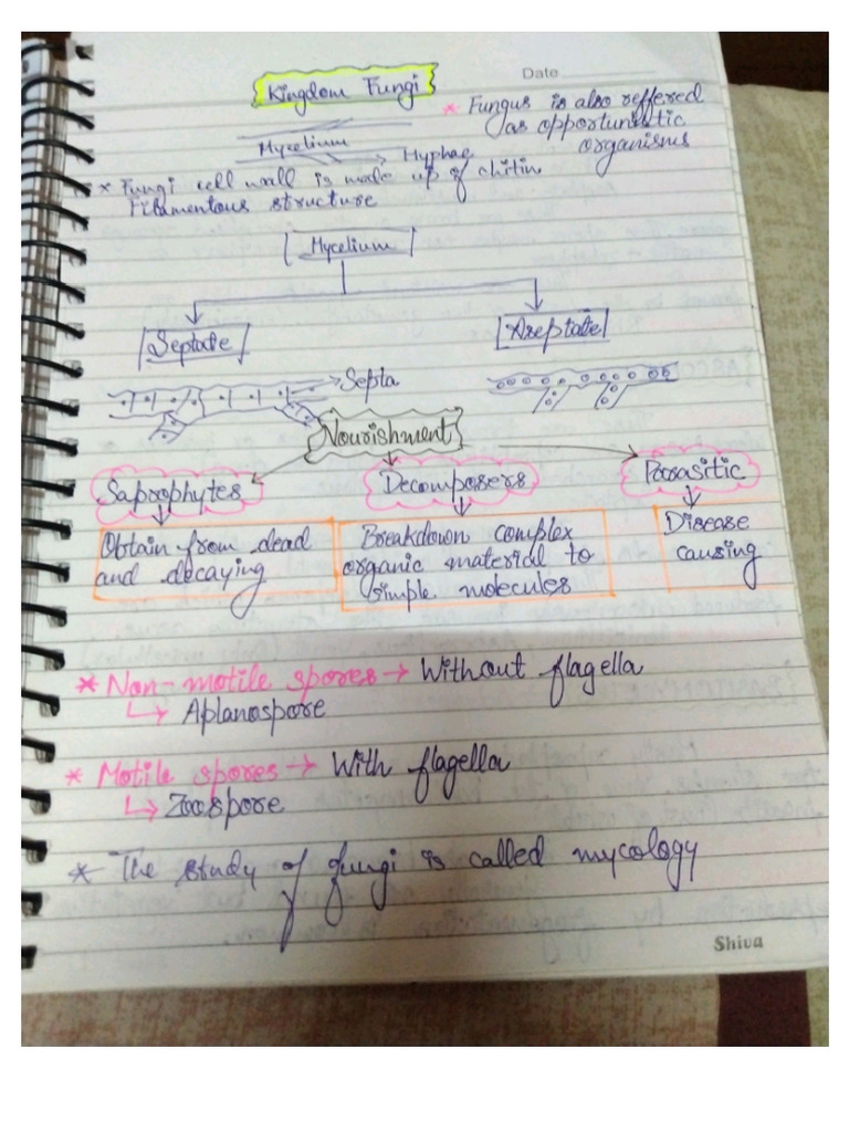 11th Biology Notes | PDF