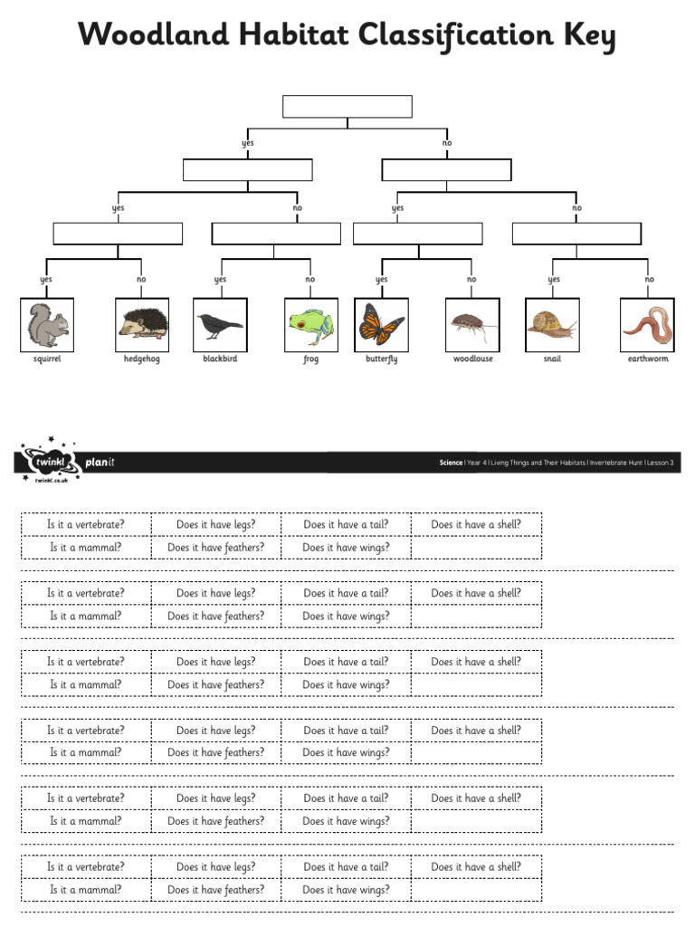 Activity Sheet Woodland Habitat Classification Key | PDF