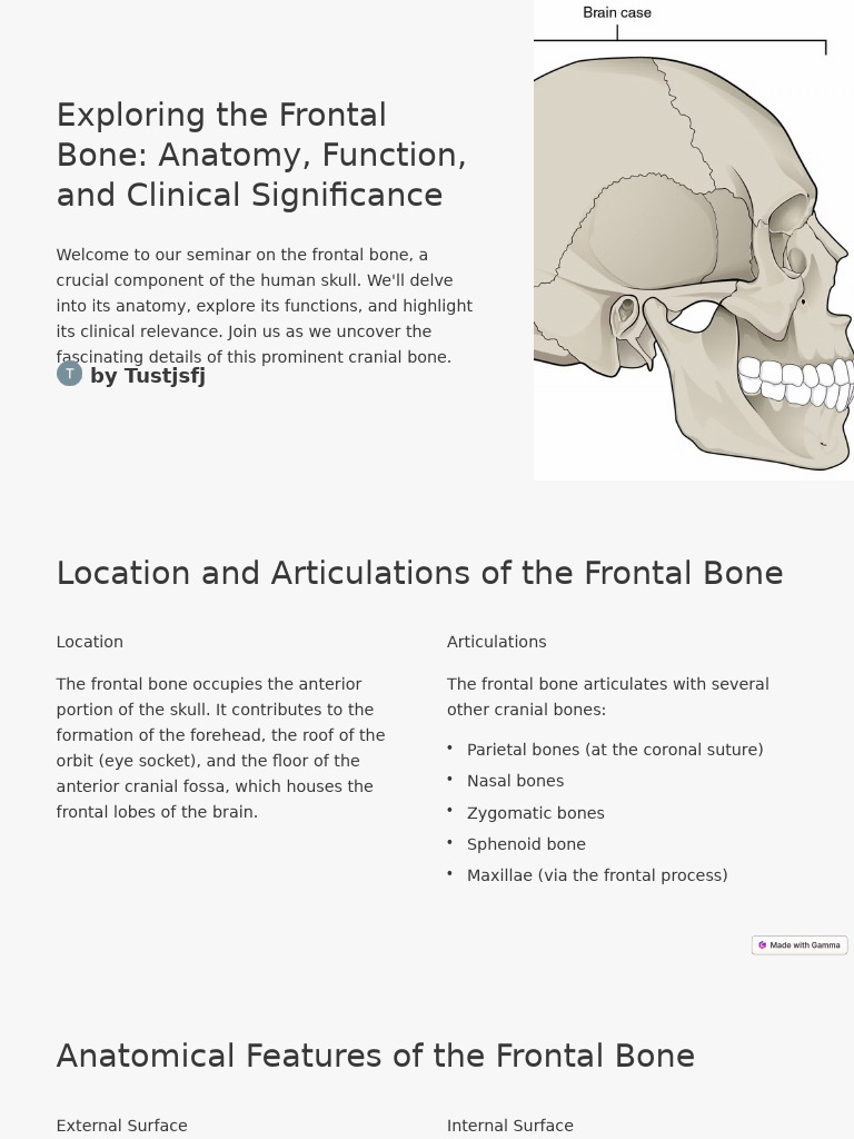 The Frontal Bone Anatomy Function and Clinical Significance | PDF ...