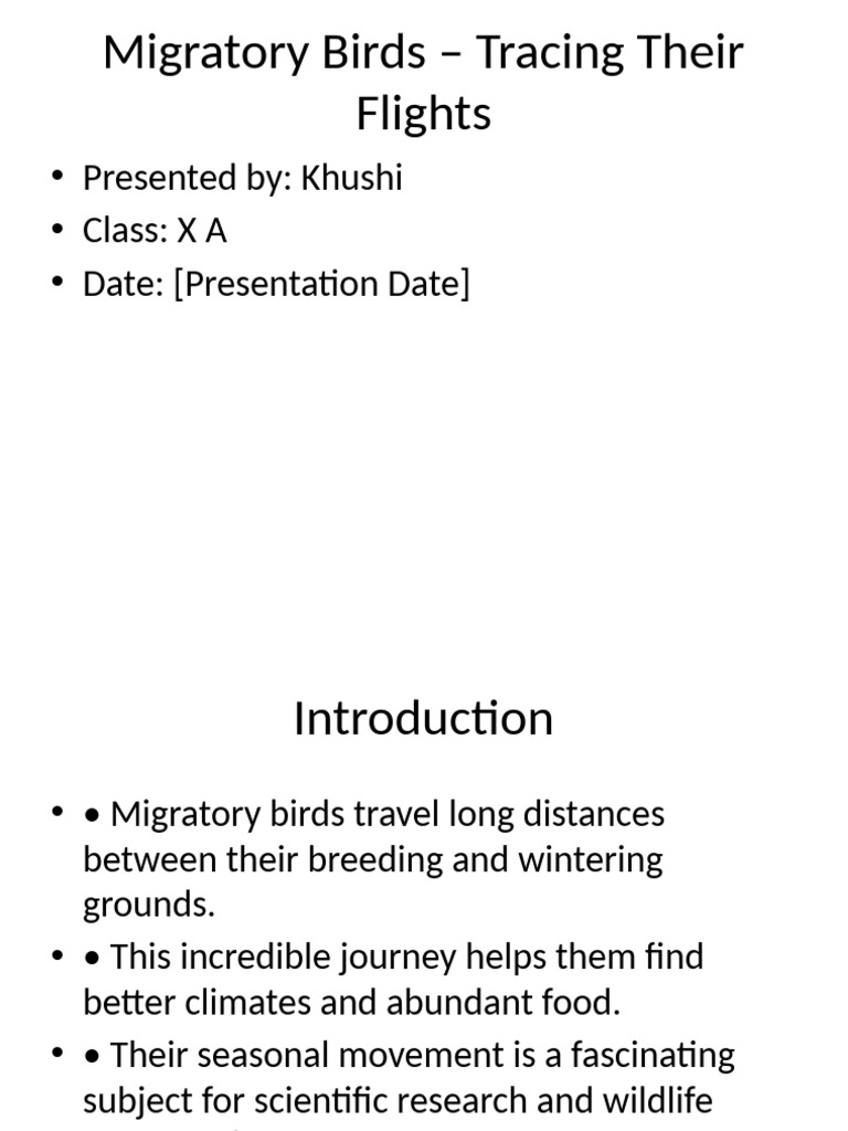 Migratory Birds Presentation by Khushi | PDF | Bird Migration | Birds