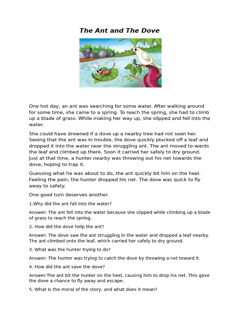 The Ant | PDF