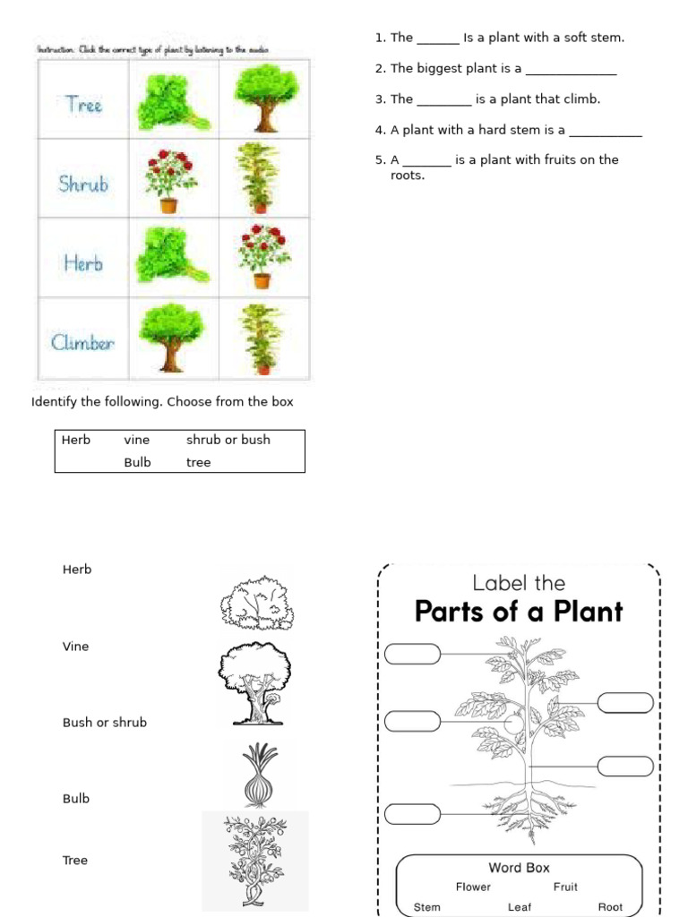 Q2-Science Quiz | PDF