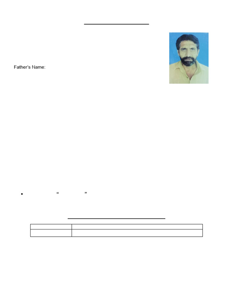 CV Muhammad Mazhar Hussain | PDF