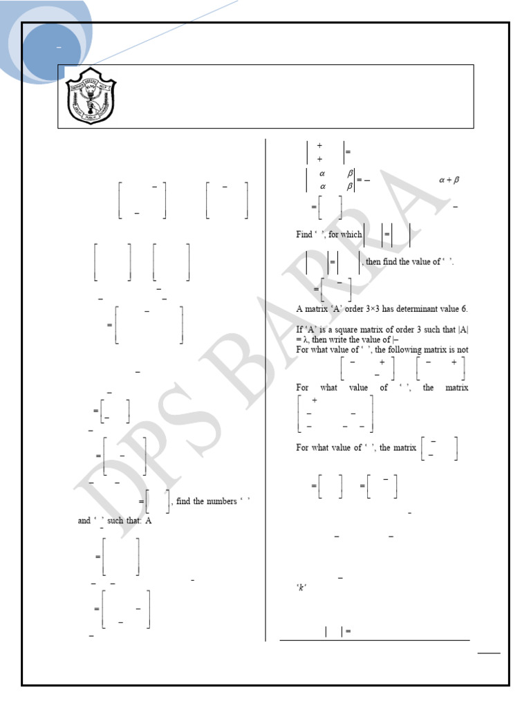 WS - 03B Matrices Determinant New | PDF | Determinant | Matrix (Mathematics)