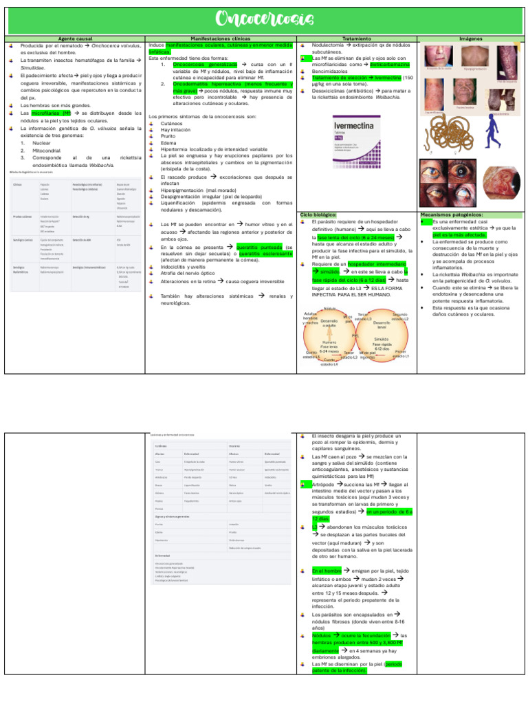 ONCOCERCOSIS | PDF | Especialidades Medicas | Enfermedades y trastornos