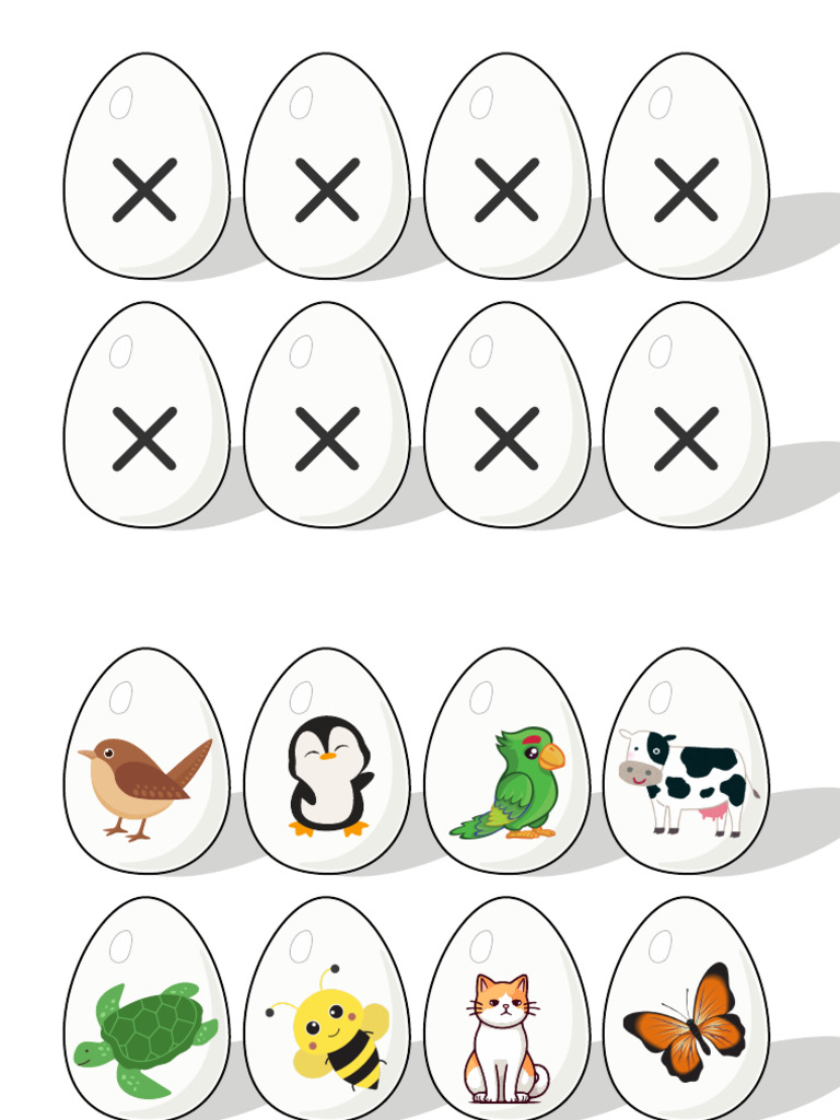 Birds Activity Vocabulary Mastery | PDF