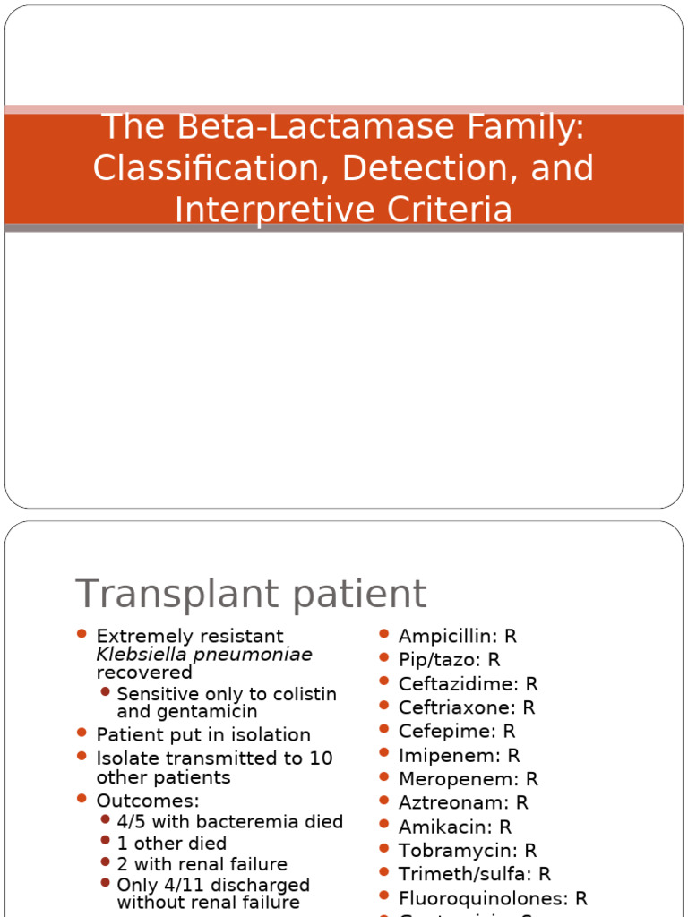 The Beta-Lactamase Family | PDF | Beta Lactamase | Antibiotics