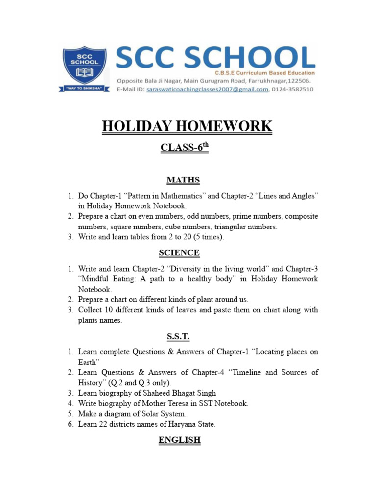 Holiday Homework 6th | PDF