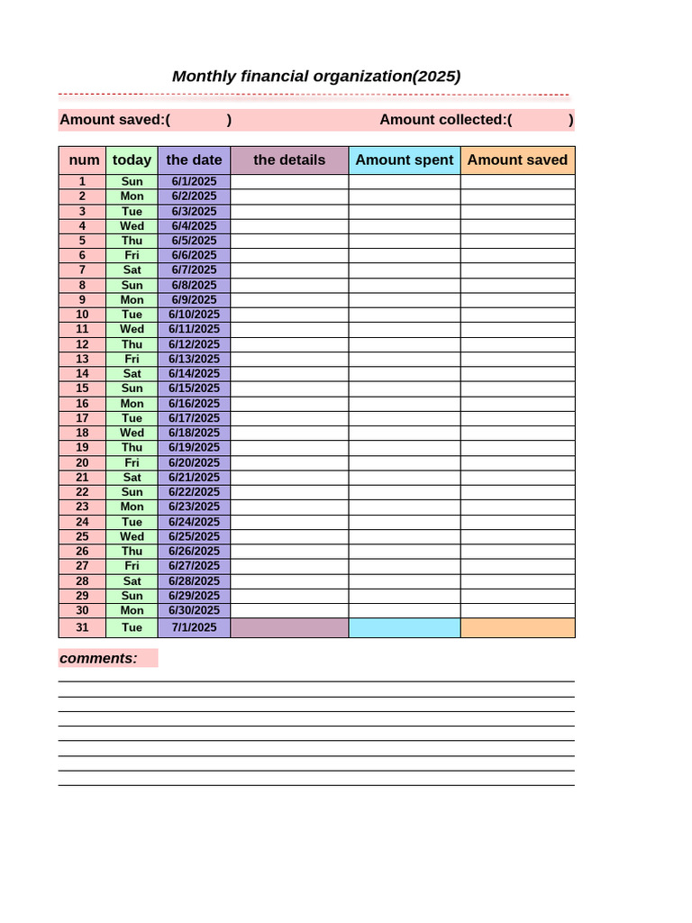 Monthly Financial Organization | PDF