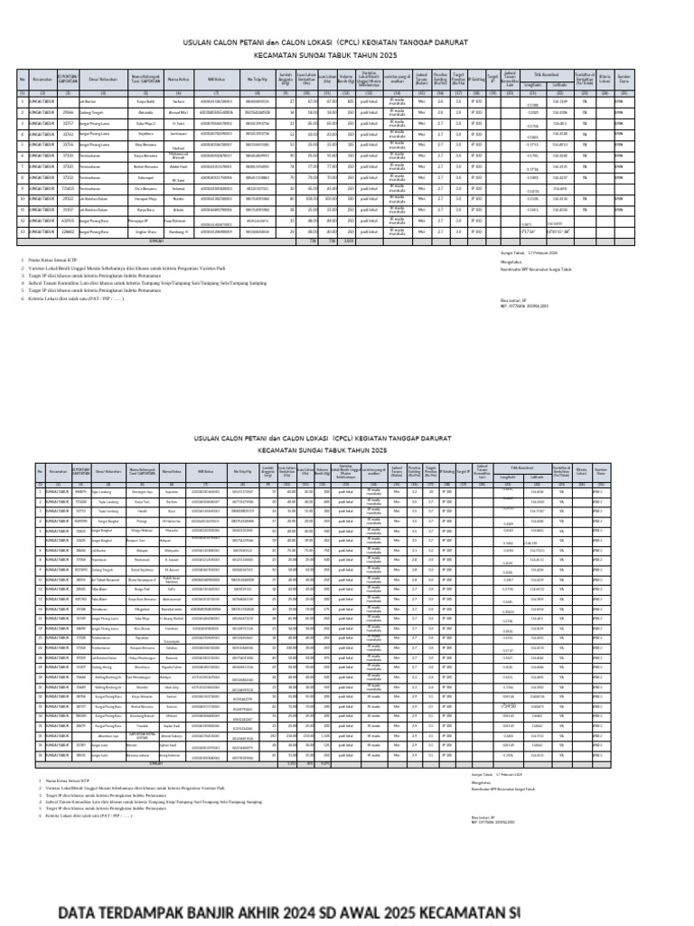 CPCL DPI APBN dan APBD 2025 | PDF
