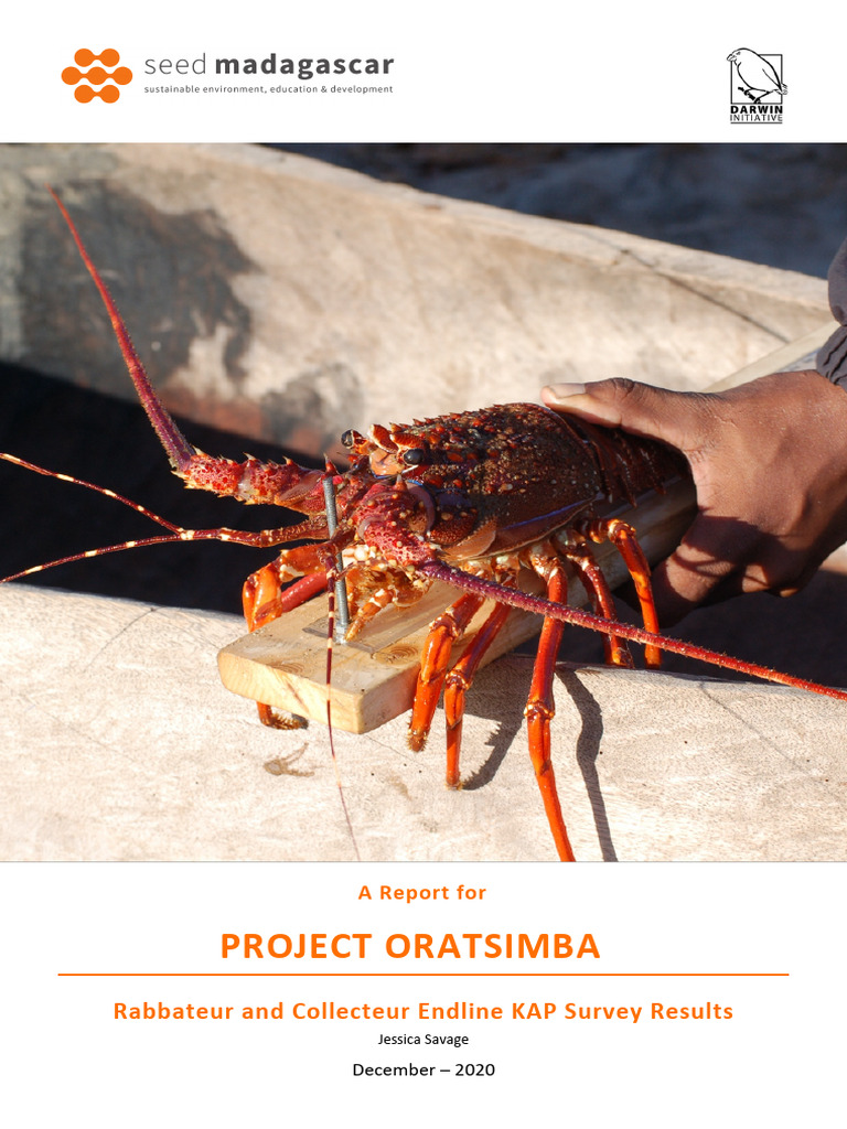 Rab Col Endline Dec 2020 | PDF