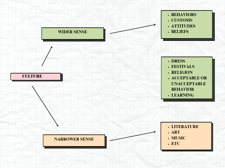 Understanding Cultural Behaviors and Customs | PDF