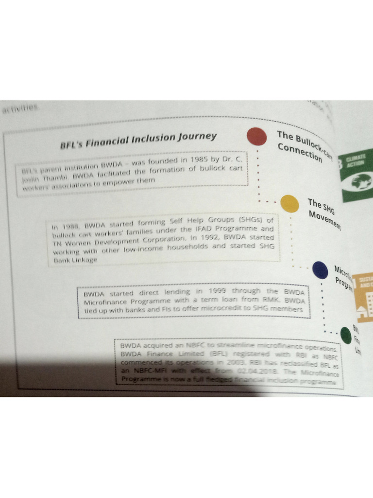 History of Dairy BFL | PDF