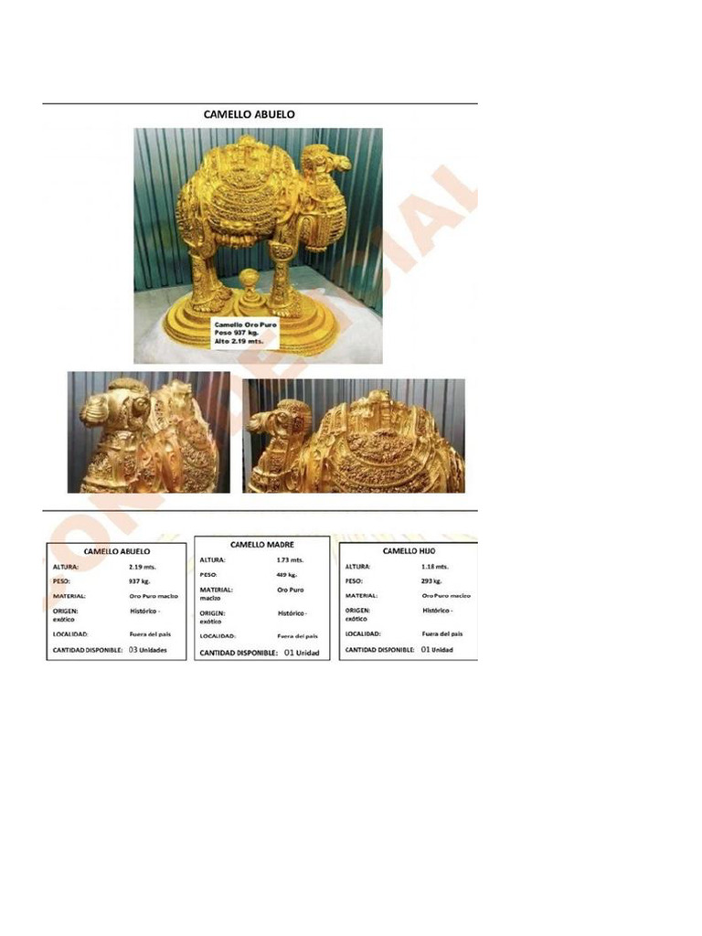 6 Golden Camels PHOTO.docx | PDF