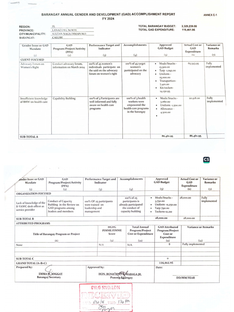 Calube - Gad Accomplishment Report Cy 2024 | PDF