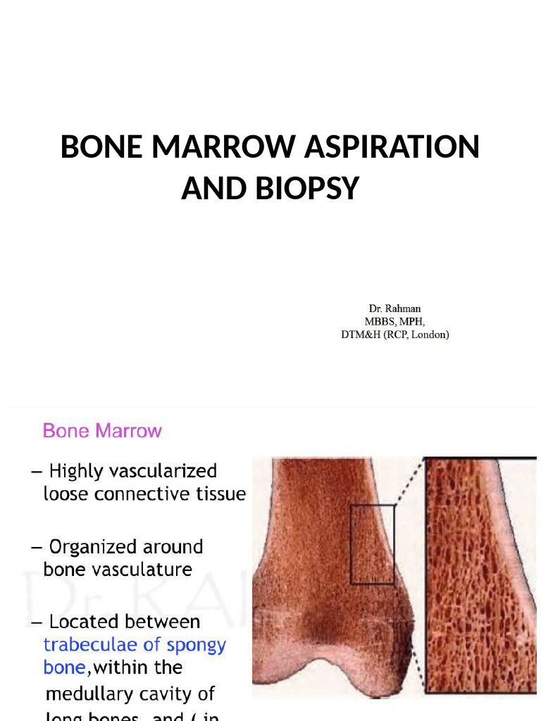 Bone Marrow Examination | PDF | Bone Marrow | Medical Specialties