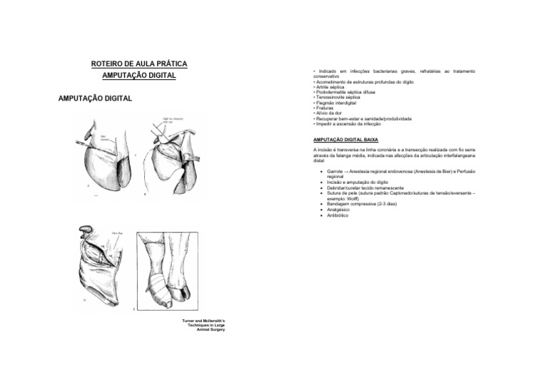 Https /doc 04 Ag Prod 02 Apps Viewer - Googleusercontent.com/viewer2/prod 02 | PDF