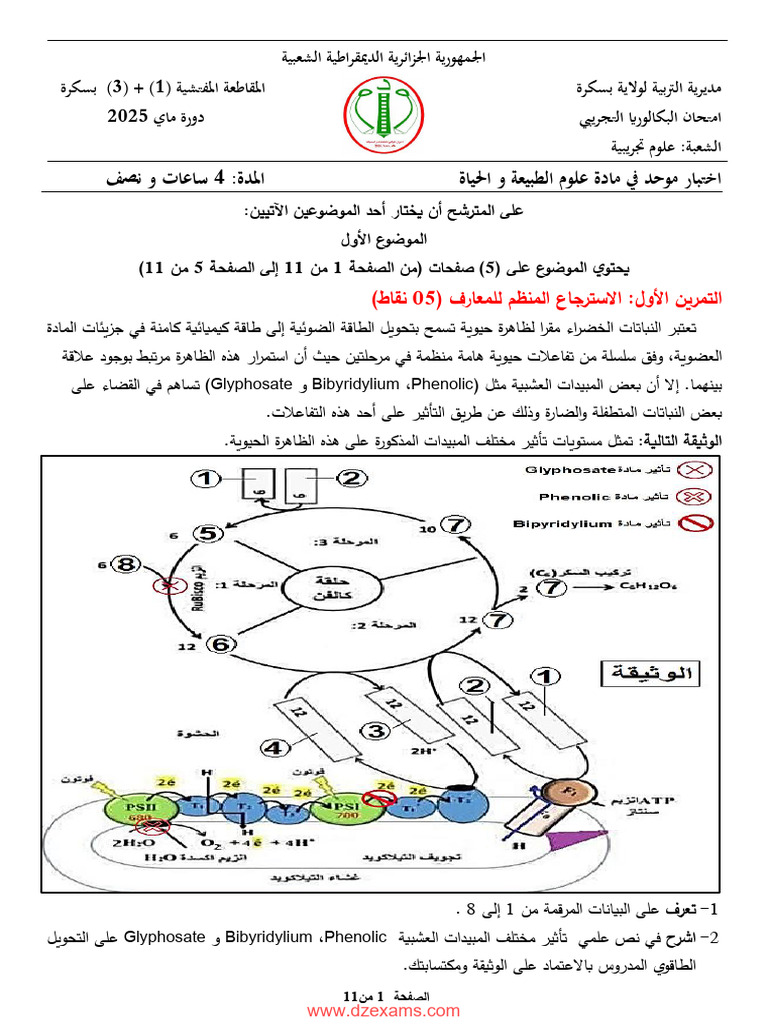Dzexams 3as Sciences Naturelles 1259863 | PDF