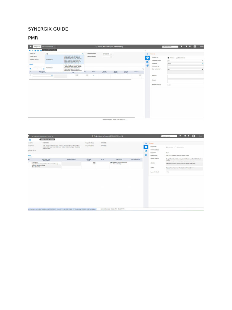 SYNERGIX GUIDE STEP BY STEP | PDF