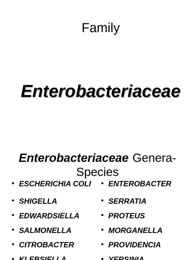 Enterobacteriaceae Intro | PDF | Salmonella | Prokaryote
