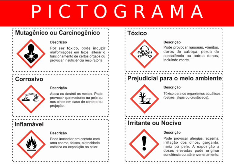 Pictograma Completo | PDF