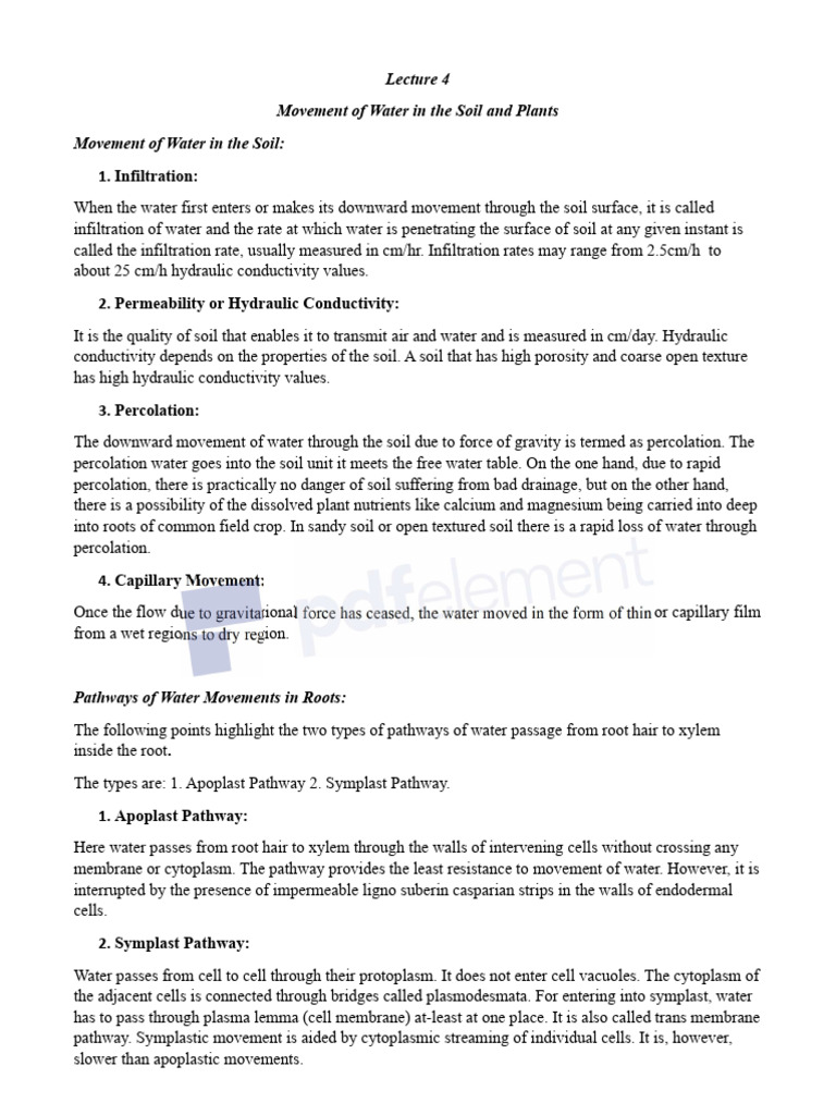 Water Movement in Soil and Plants | PDF | Branches Of Botany | Biology