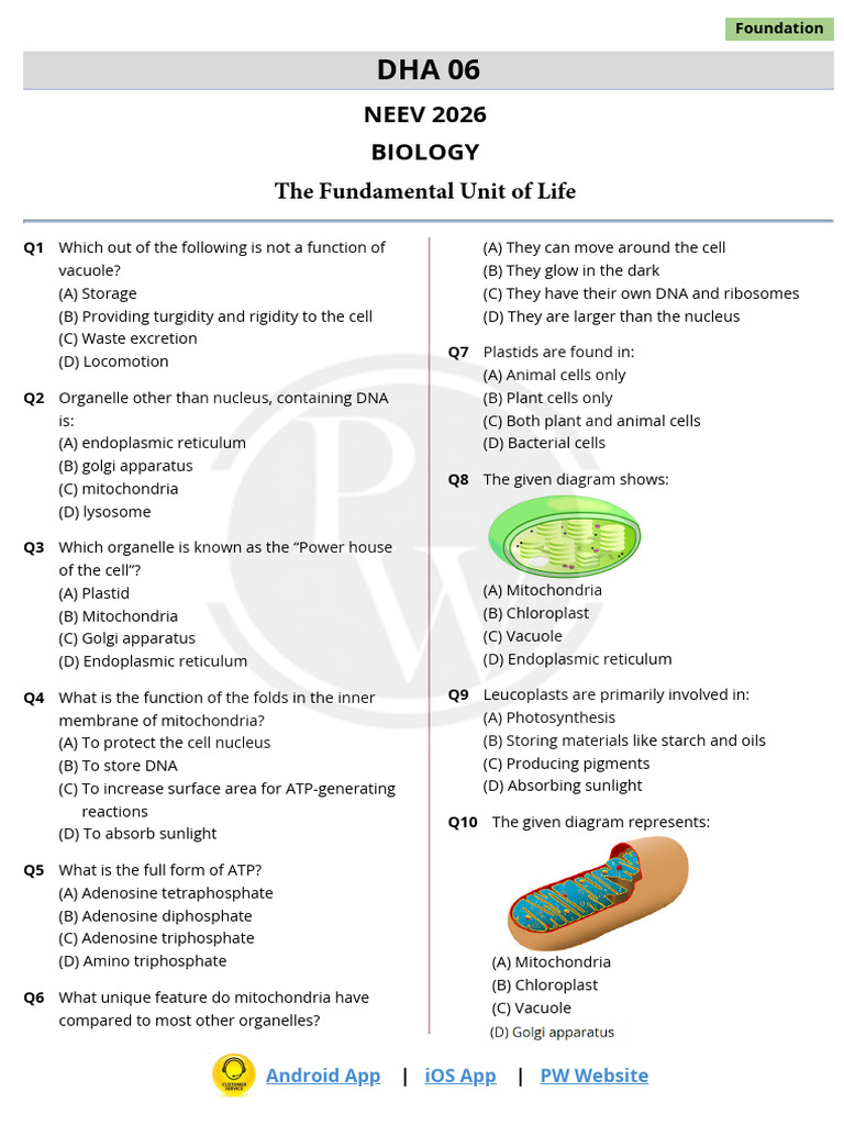 Cell Organelles Quiz and Answers | PDF | Cell (Biology) | Mitochondrion