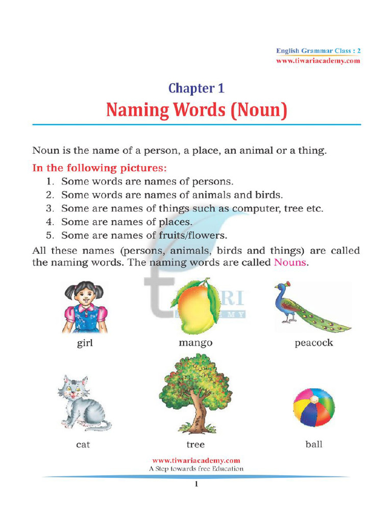 Noun | PDF