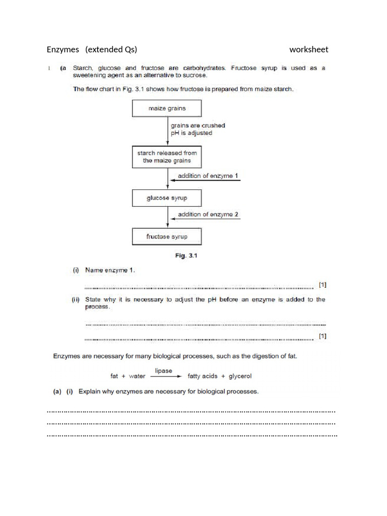 Enzymes, Worksheet | PDF