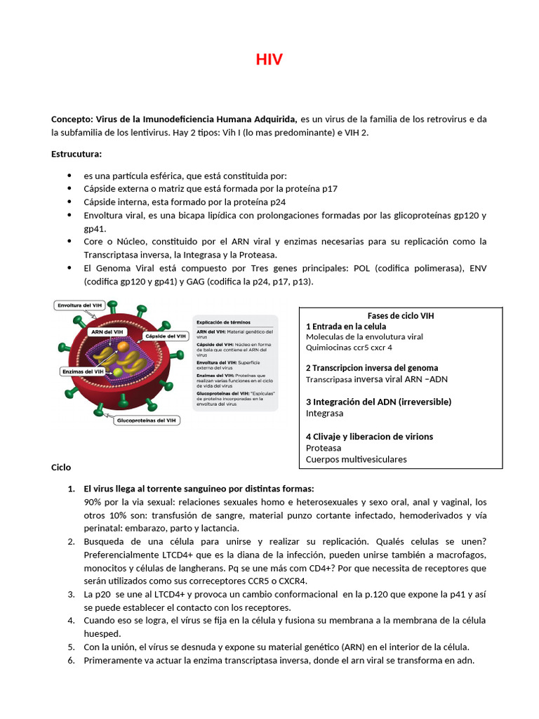 Concepto: Virus de La Imunodeficiencia Humana Adquirida,: Fases de ...