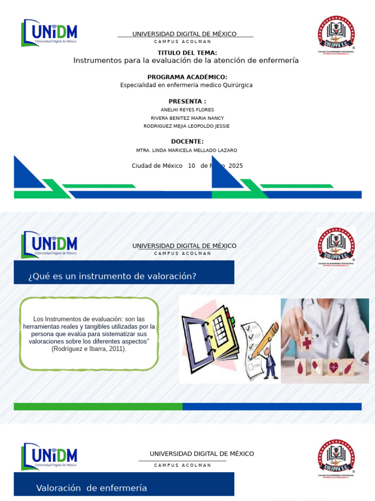 Instrumentos de Valoración Pae | PDF | Examen físico | Percepción