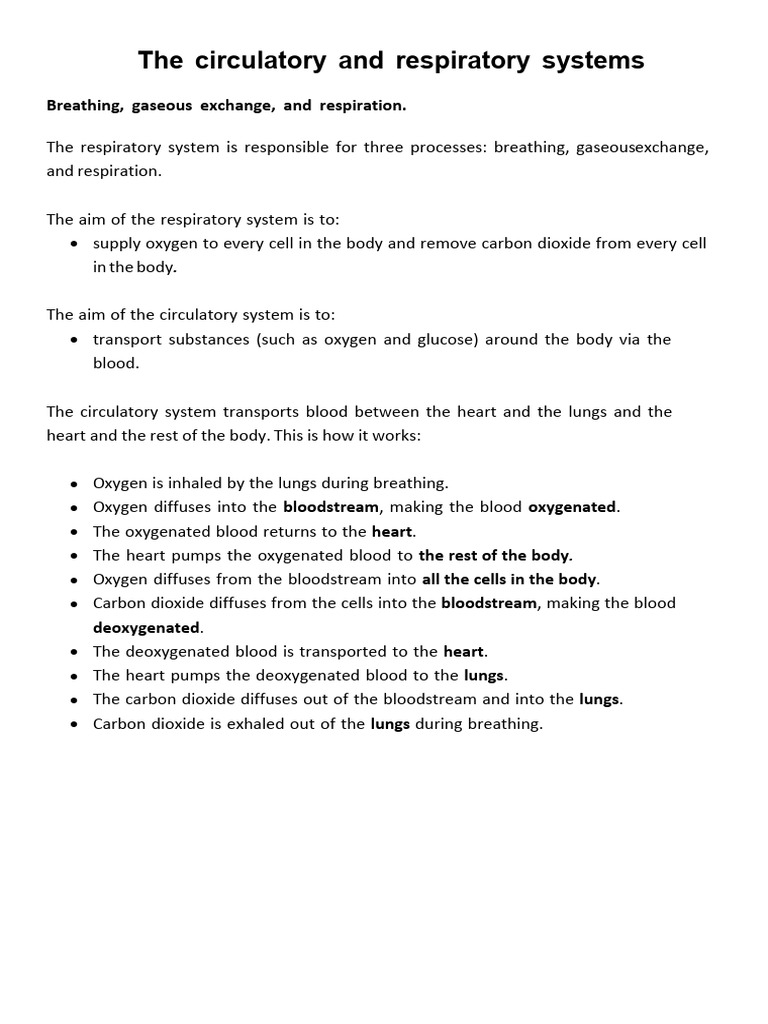 Circulatory and Respiratory Systems Explained | PDF | Respiratory ...