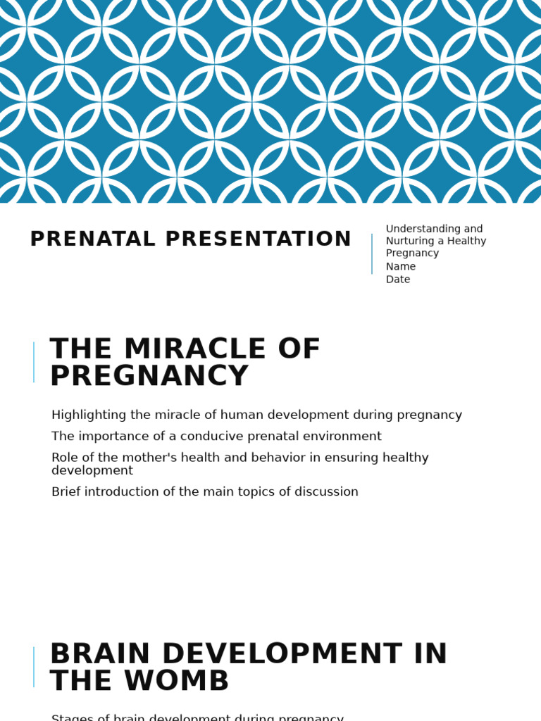 Assignment 2 Ana Paula | PDF | Pregnancy | Prenatal Development