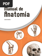 NBI Morton. Anatomía Macroscópica | PDF | Abdomen | Anatomía