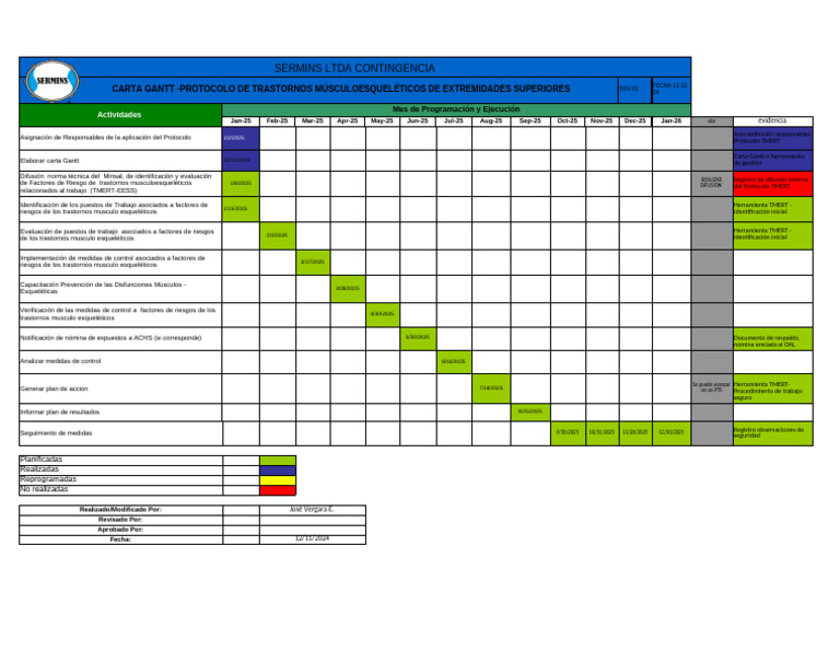 Carta Gantt Protocolo TMERT 2025 | PDF