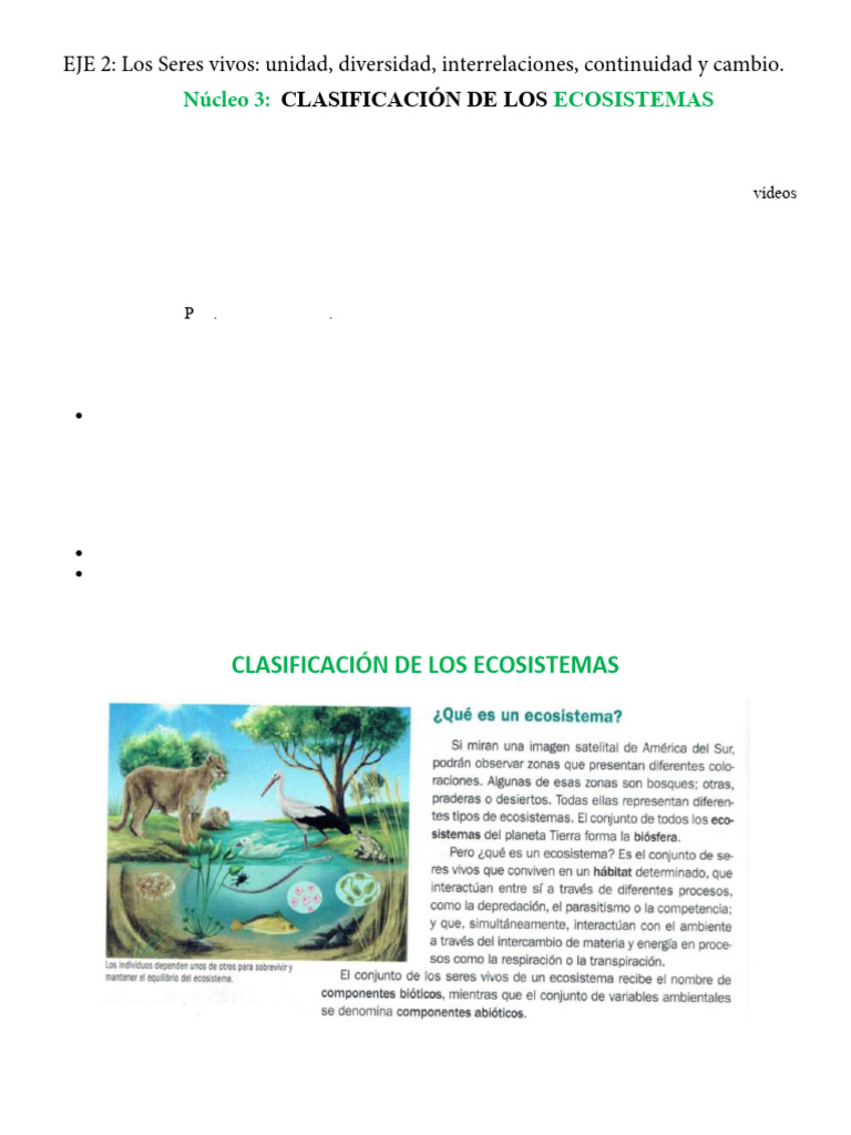 Clase N - 4 B - Clasificaci-N de Los Ecosistemas | PDF