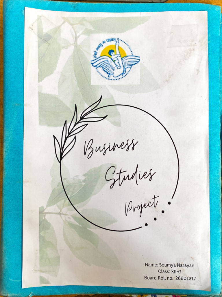 Business Studies Project Class 12 | PDF