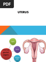 Ligaments of The Female Reproductive Tract - TeachMeAnatomy | PDF ...