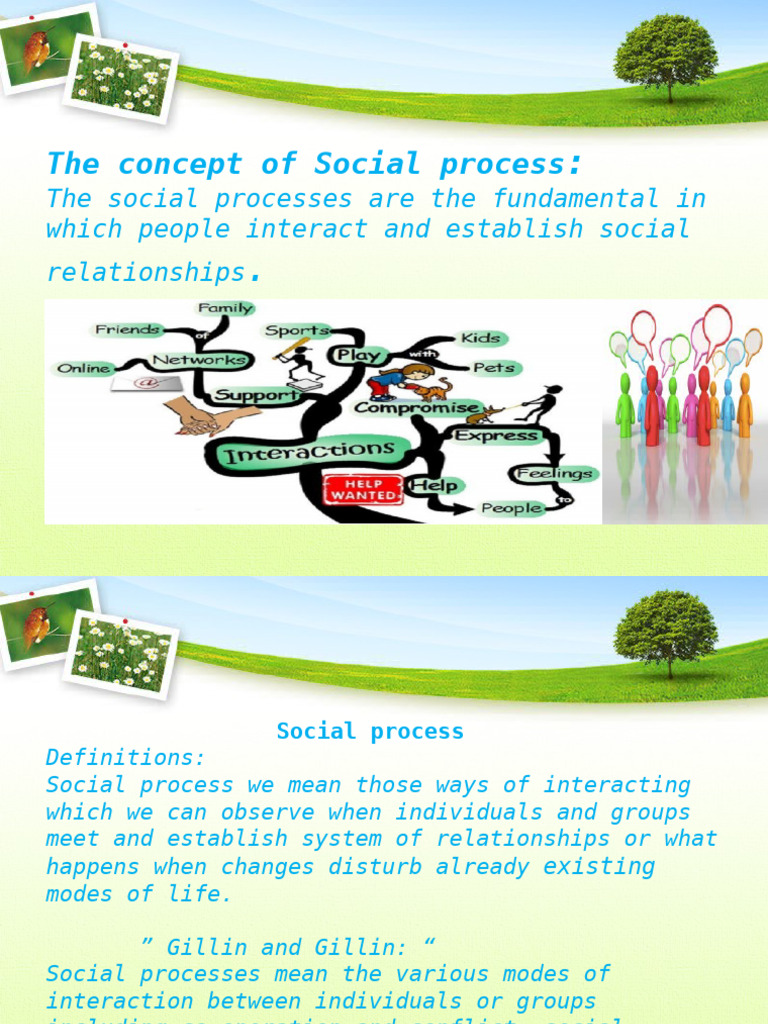 Understanding Social Processes and Interactions | PDF | Cultural ...