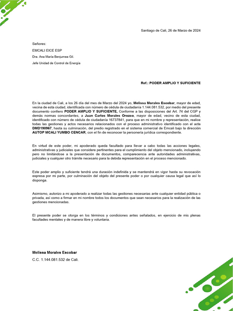 Poder Amplio y Suficiente | PDF