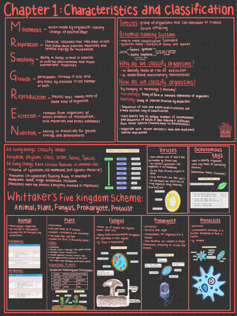 Chapter 1 - Characteristics and Classification | PDF | Cell (Biology ...