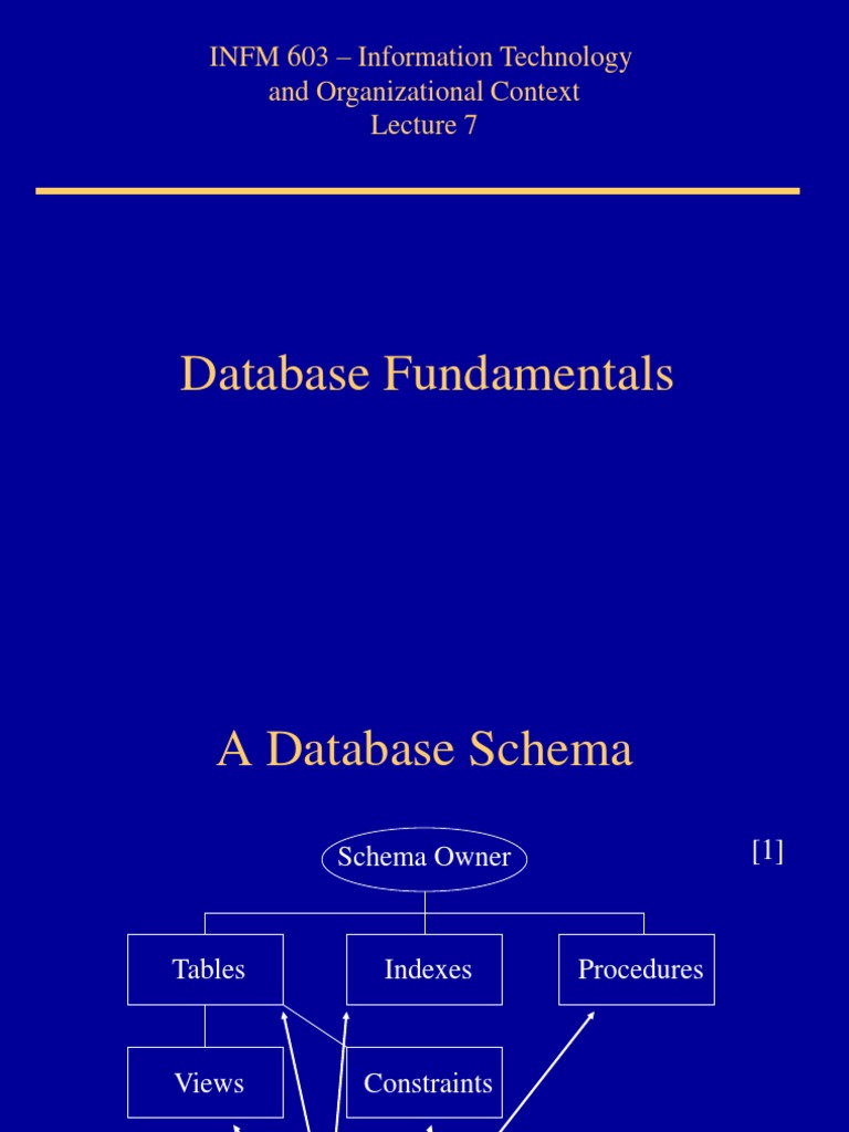 Database Fundamentals: INFM 603 - Information Technology and Organizational Context | PDF ...