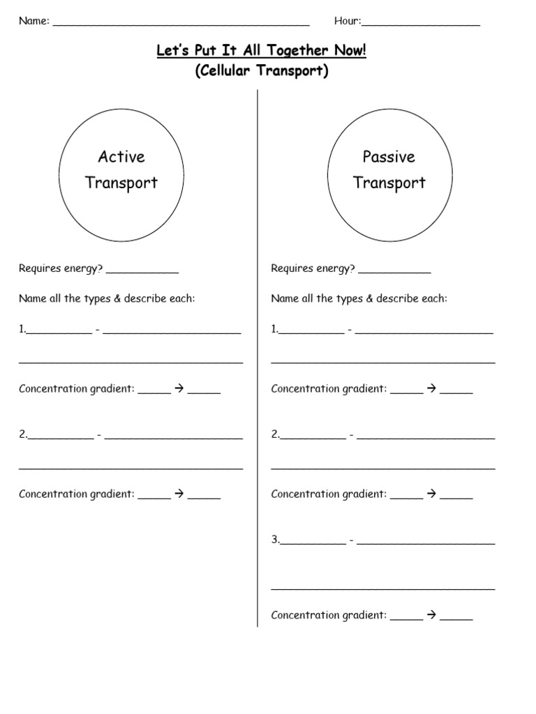 Active Transport Passive Transport: Let's Put It All Together Now ...