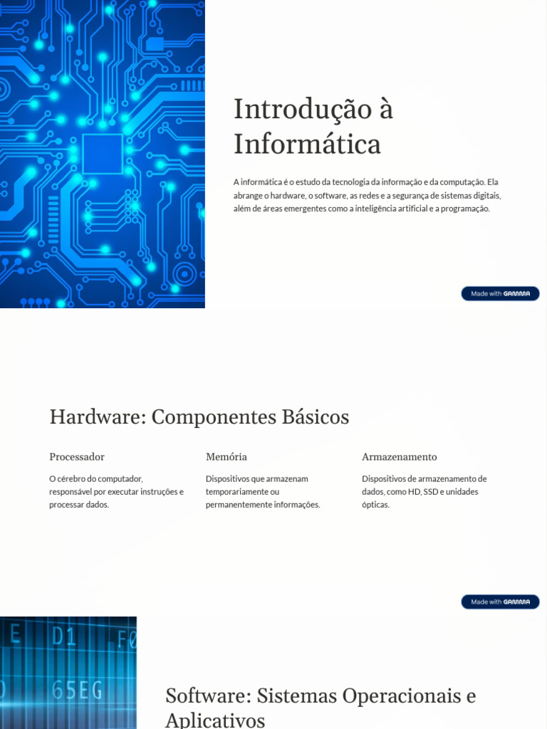 Introducao A Informatica | PDF | Informática | Rede de computadores