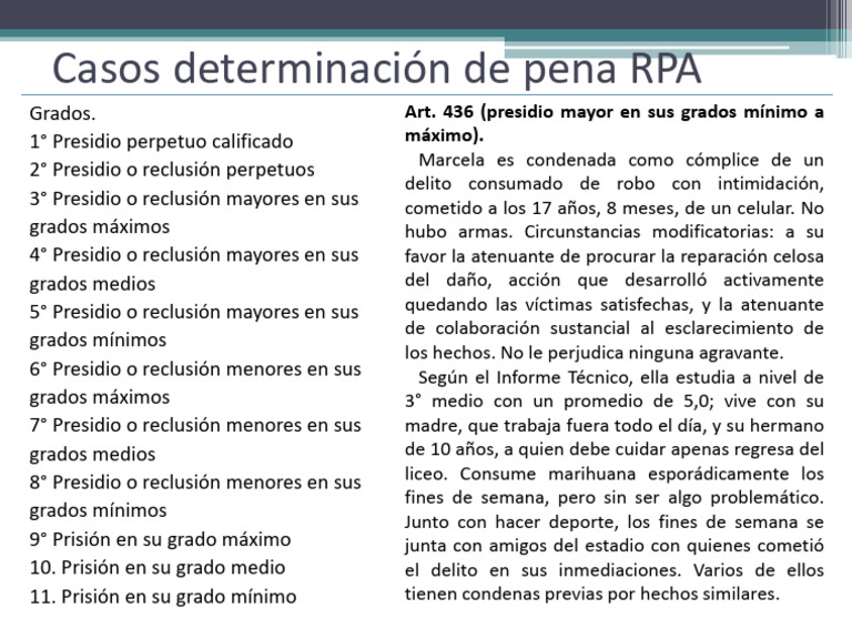 C5E7FF 11741937 Caso Marcela 2025 RPA | PDF