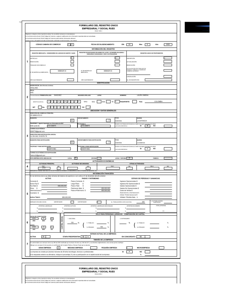 4. Formulario RUES | PDF