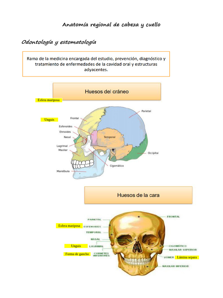 Resu Odonto 1 | PDF