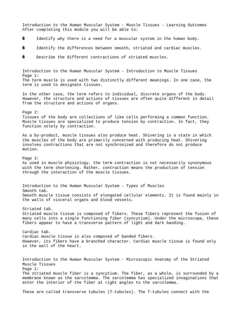 Human Mascular System | PDF | Skeletal Muscle | Muscle Contraction